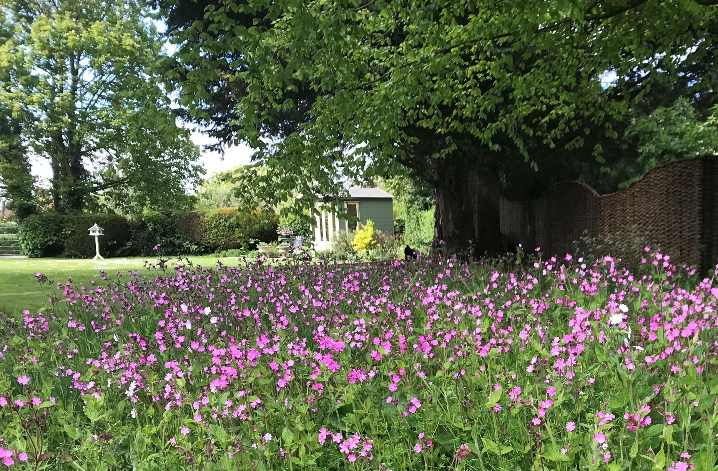 All things Plants and Gardens Watton | MN Horticulture