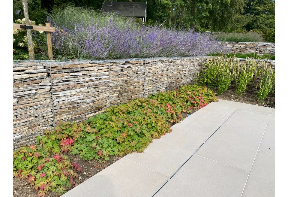 Terraced Pool Garden, Hethersett, Norfolk | MN Horticulture